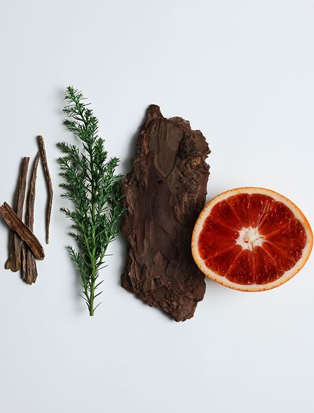 The Science of Scent: Self-Care Through Fragrance